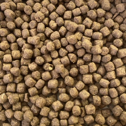 Sinking Fish Food 2-3mm (M) 2kg