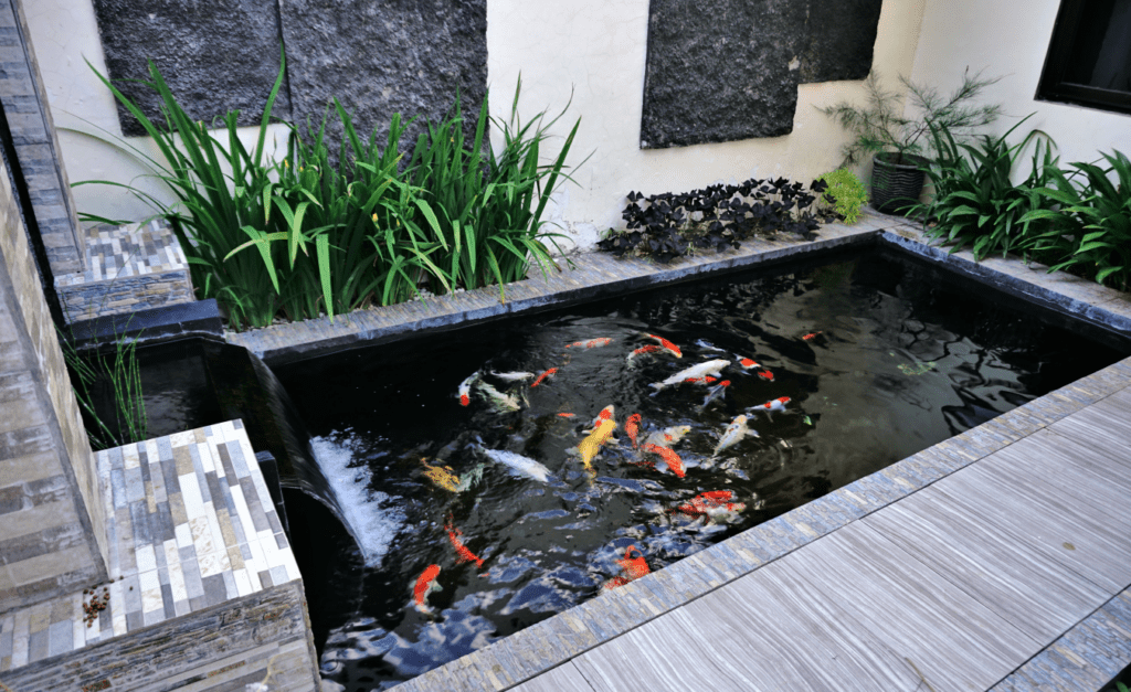 How to build a fish pond