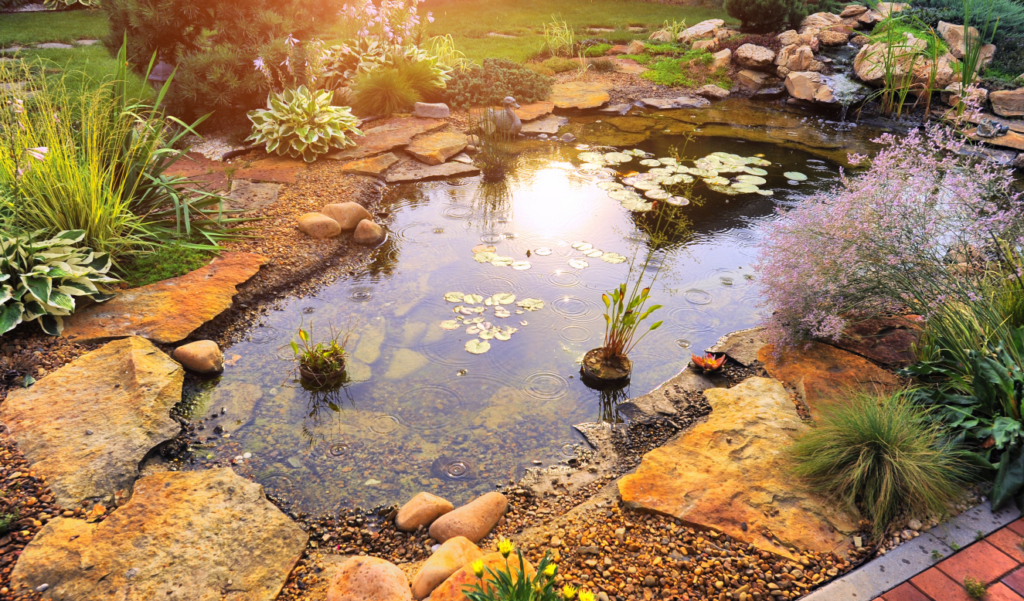 How to build a fish pond