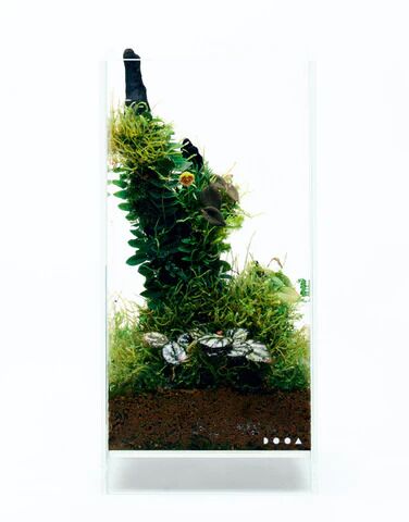 DOOA Jungle Soil 700ml - The Fish Works Pond Supplies